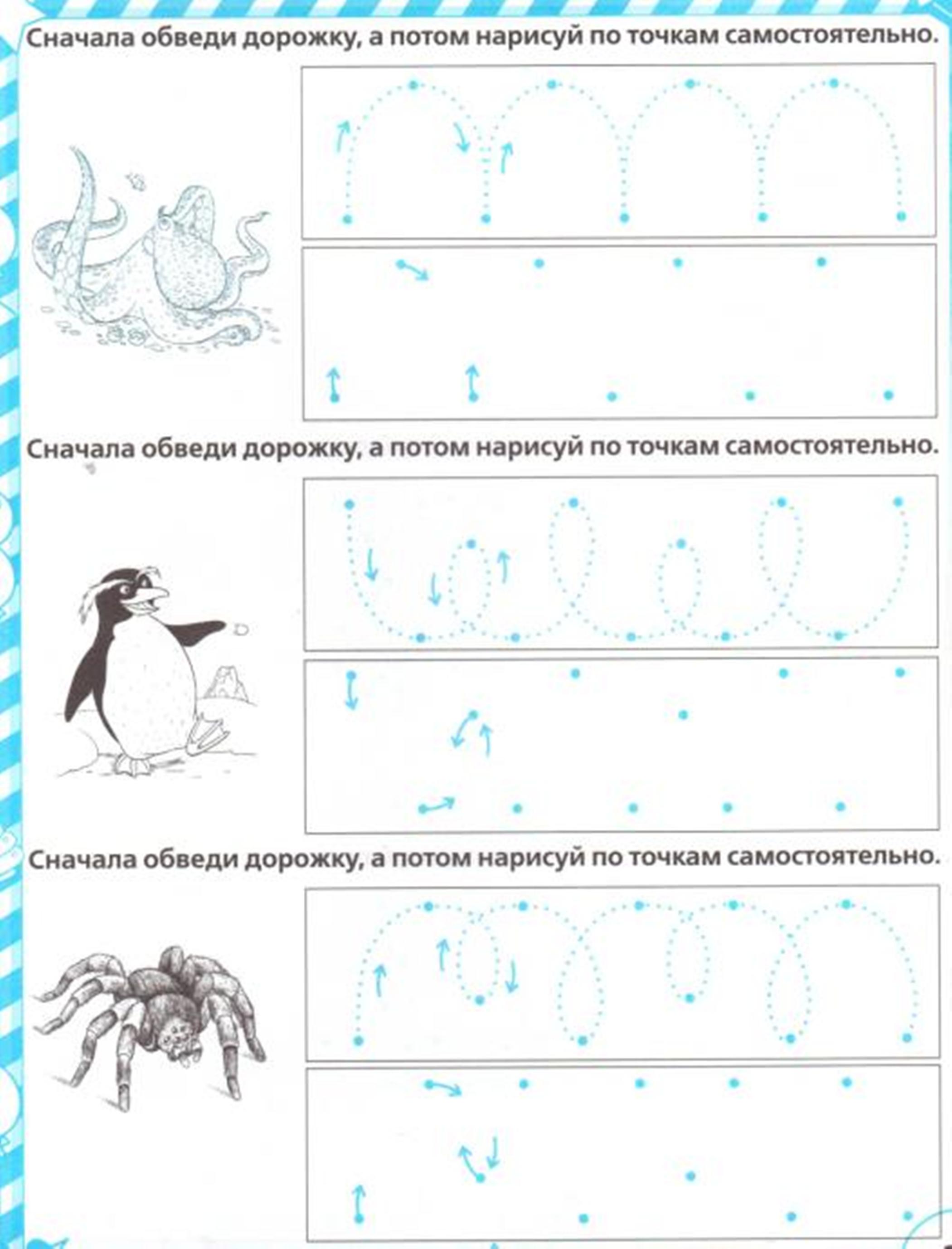Выпускник: Чудо прописи